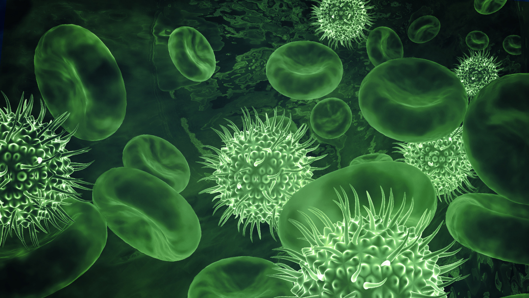 Teaching Pathophysiology - Limmer Education