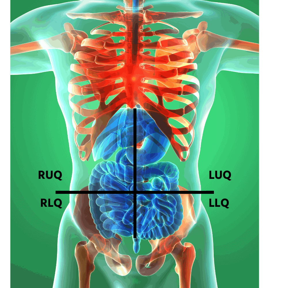 Back to the Basics: That Gut Feeling – Limmer Education, LLC