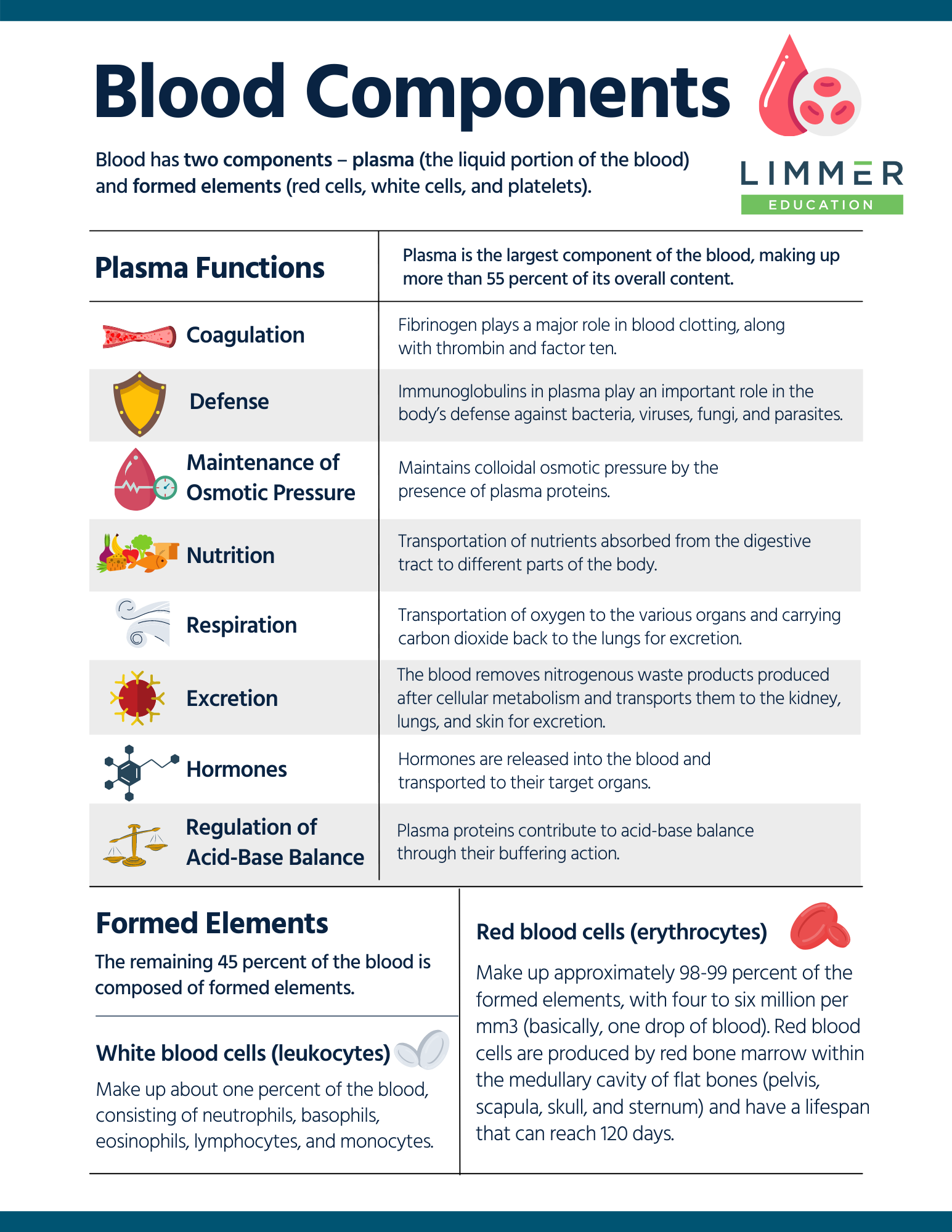 Back to the Basics: Hematology – Limmer Education, LLC