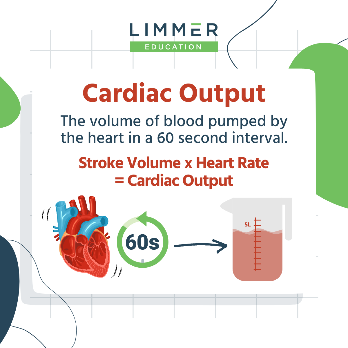 Understanding Cardiac Output – Limmer Education, LLC