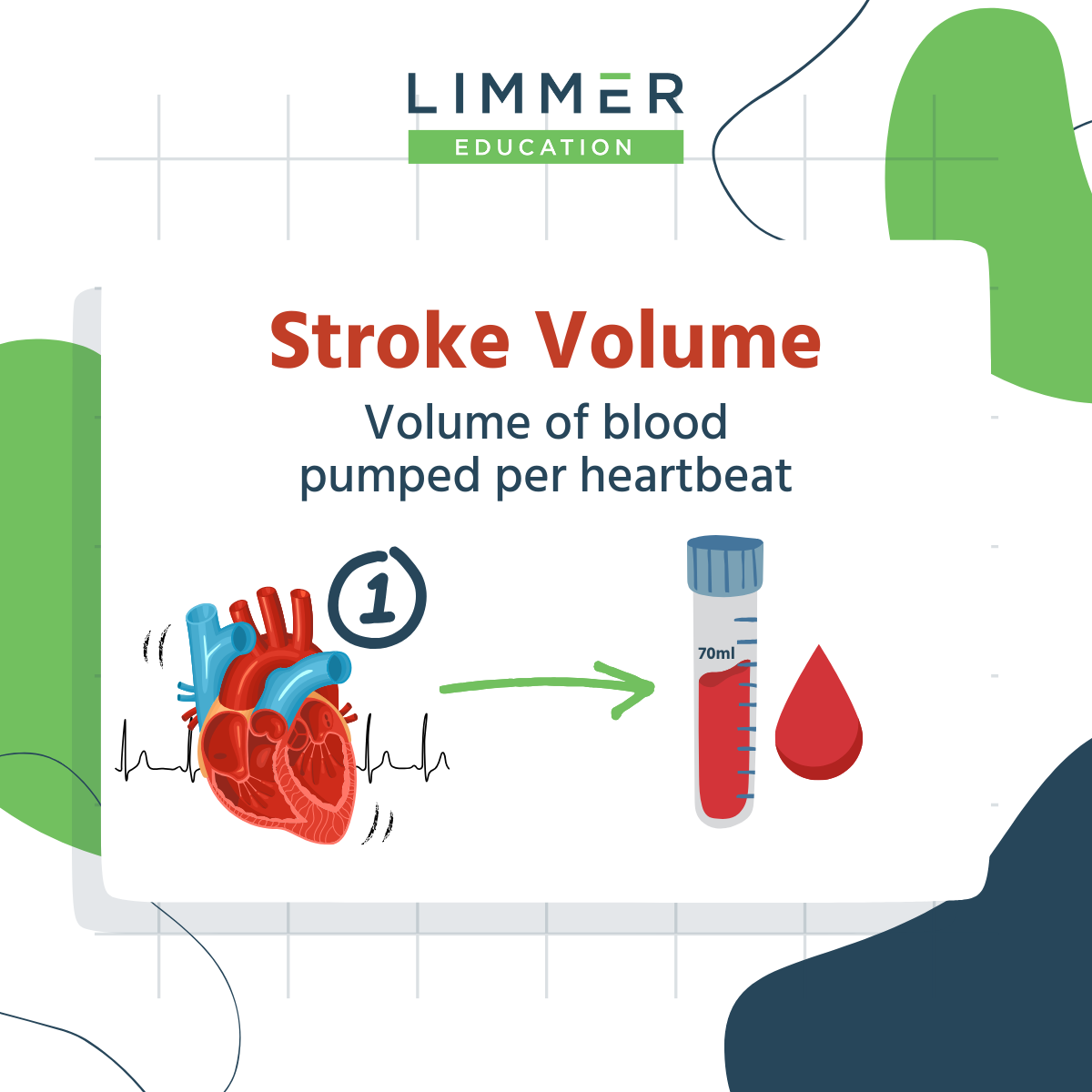 Understanding Cardiac Output – Limmer Education, LLC