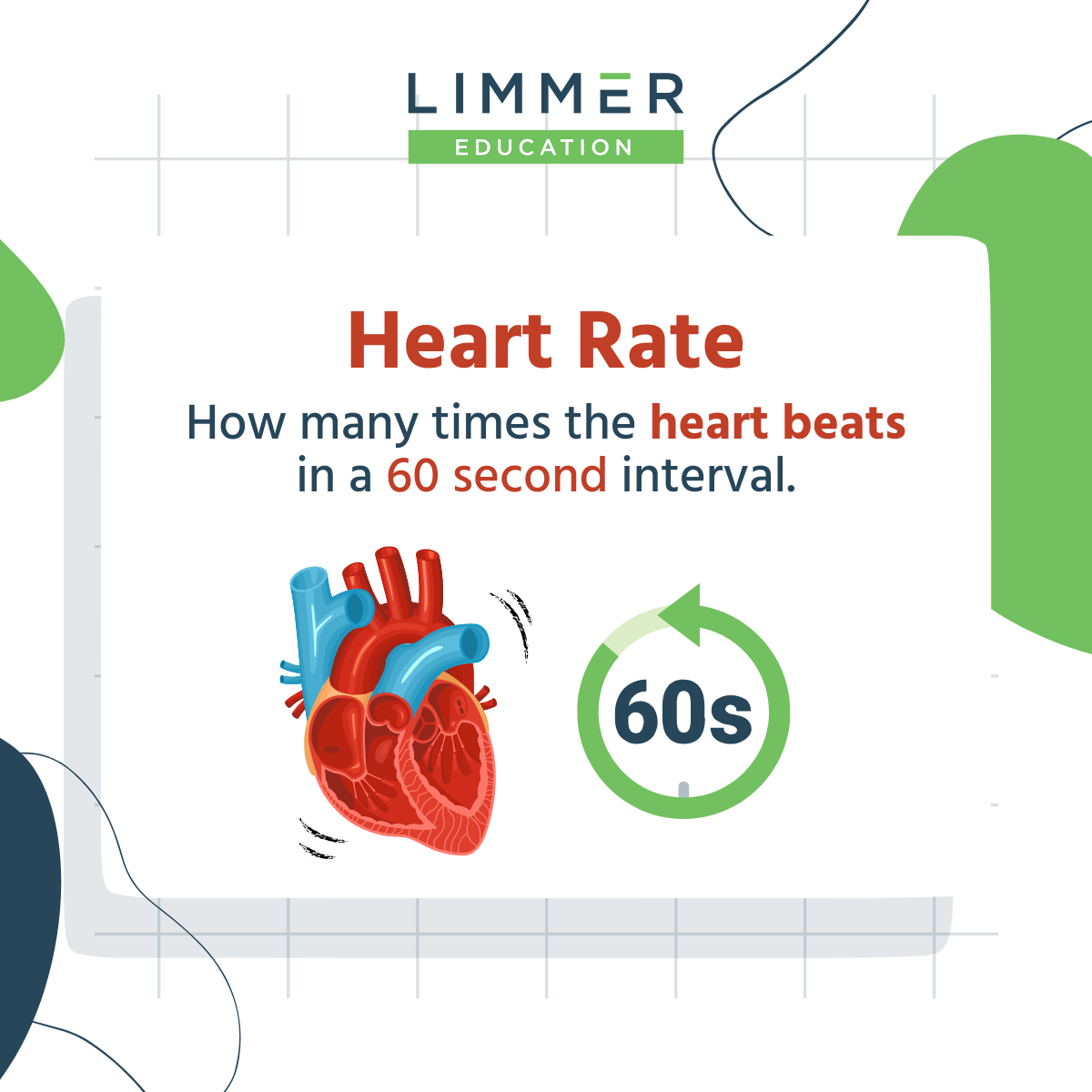 Understanding Cardiac Output – Limmer Education, LLC