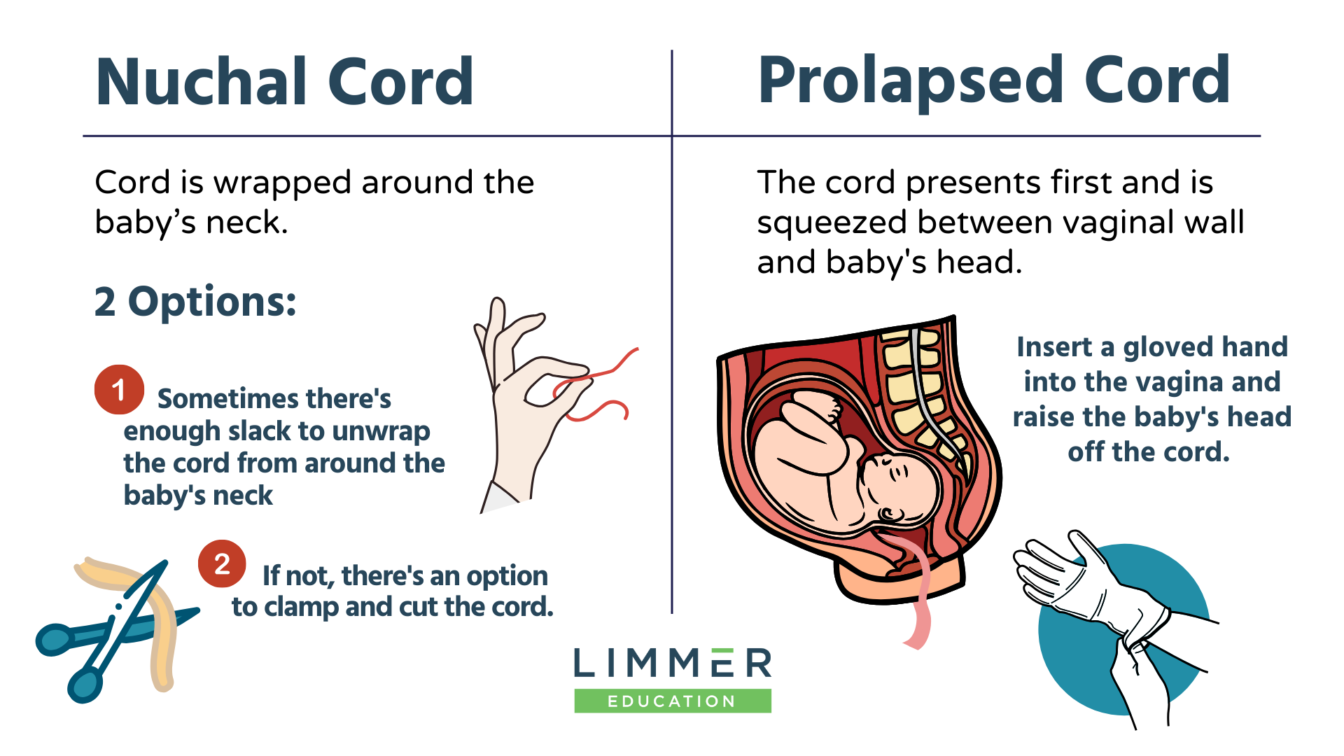 Prehospital Delivery Emergencies – Limmer Education, LLC